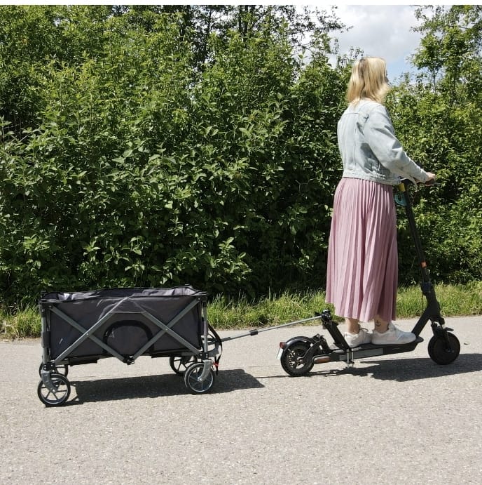 E Scooter Anhanger Hund